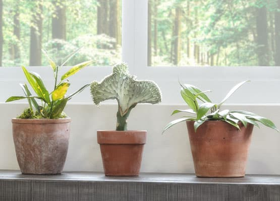 Transforming Your Sunroom: Creative Ideas for Stylish Sunroom Decor