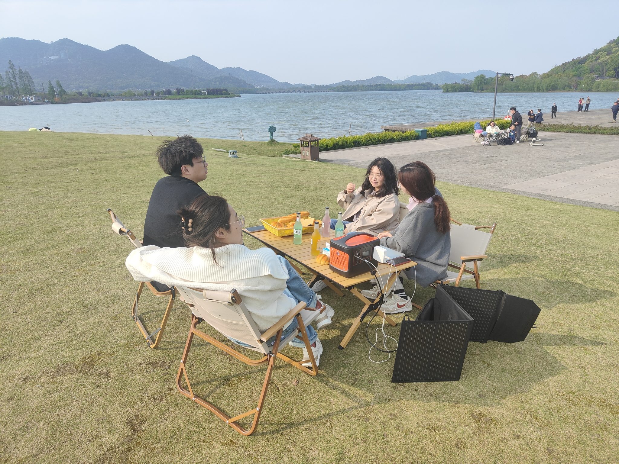 Maximizing Power: The Pros and Cons of Battery Management Systems (BMS ...